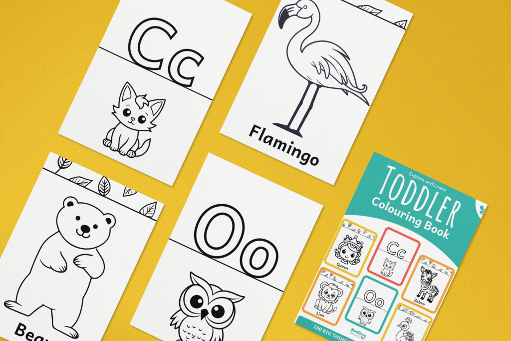 Nadiboo Books | Toddler Colouring Book | Curiosity & Adventures